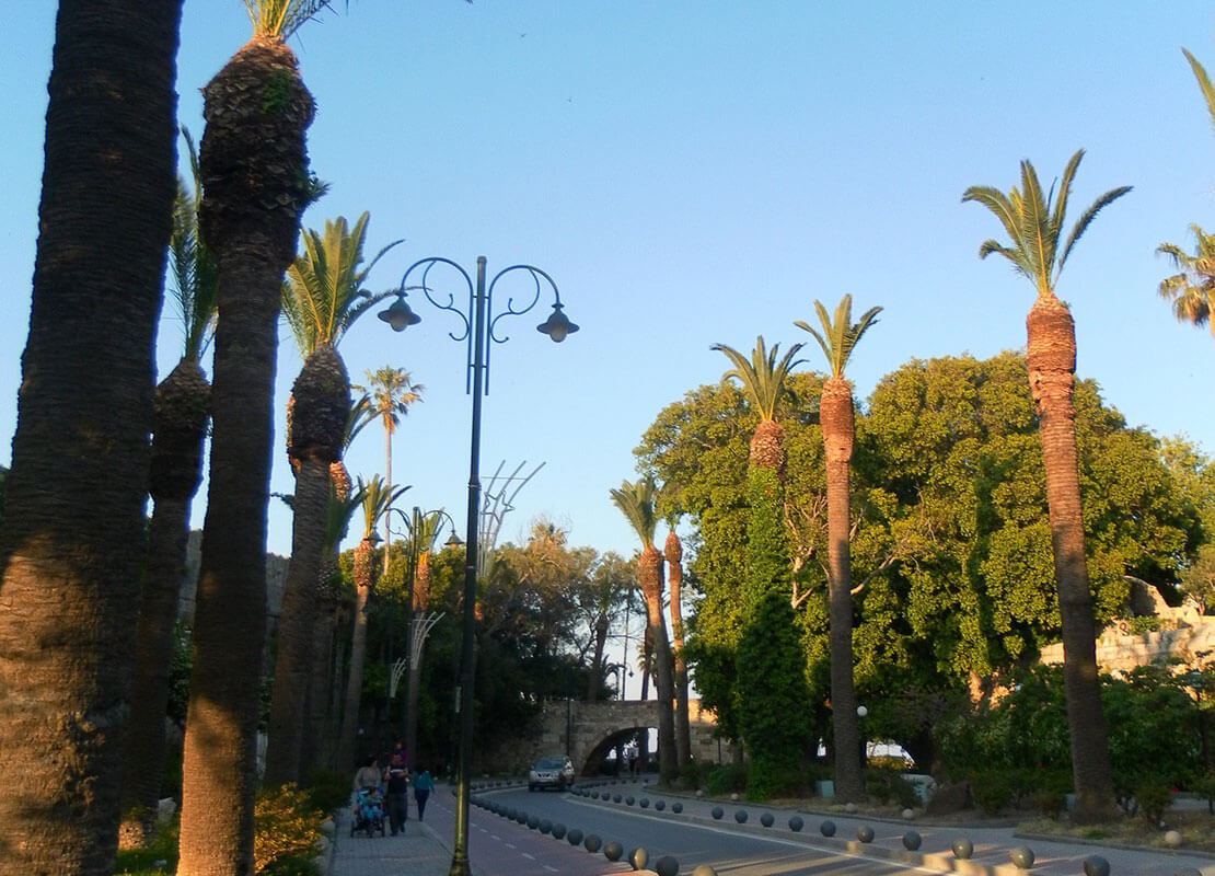 Where to Stay in Kos in 2024 - 10 Best Areas - Adventourely